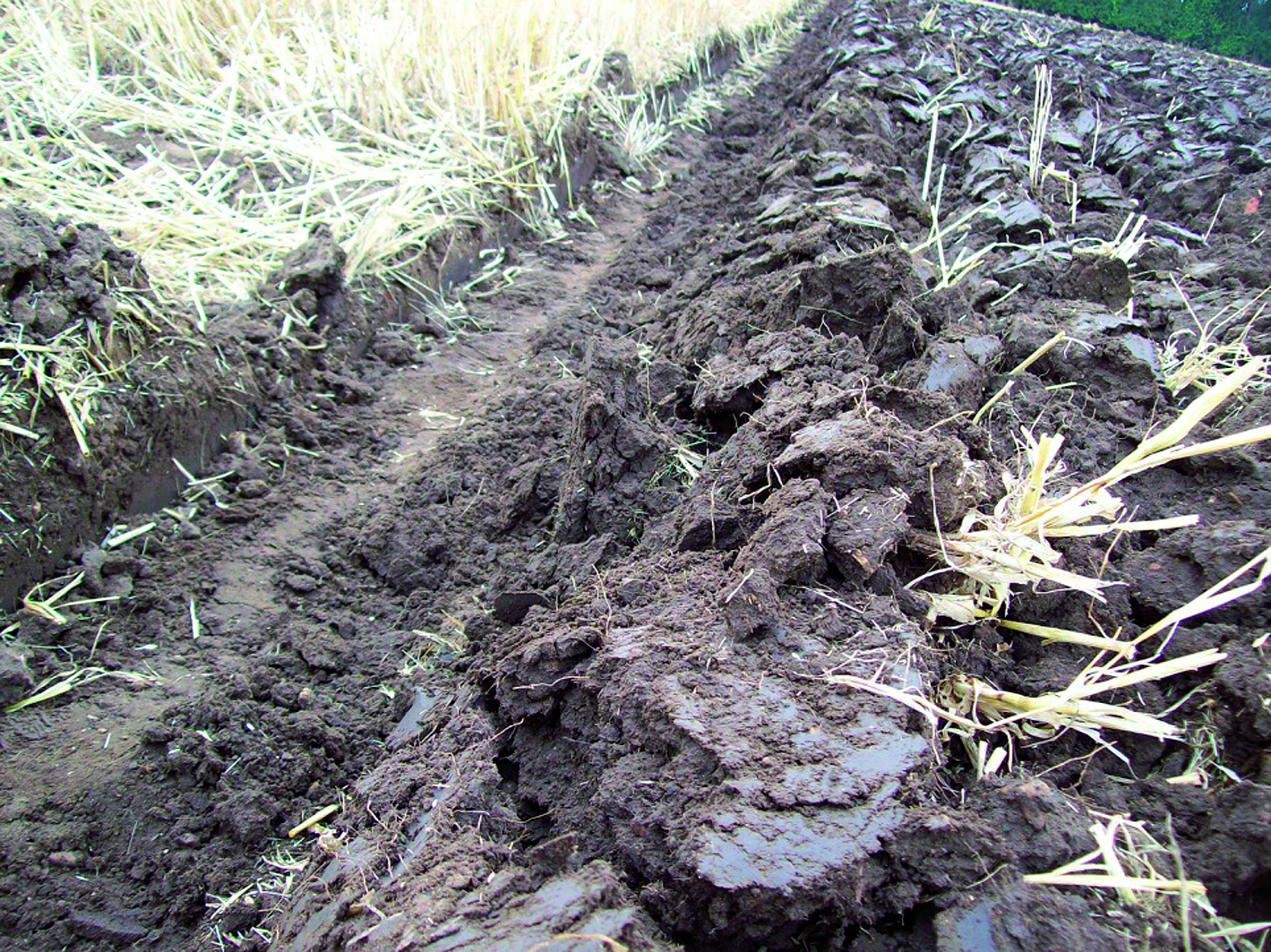 Great Plains Ag